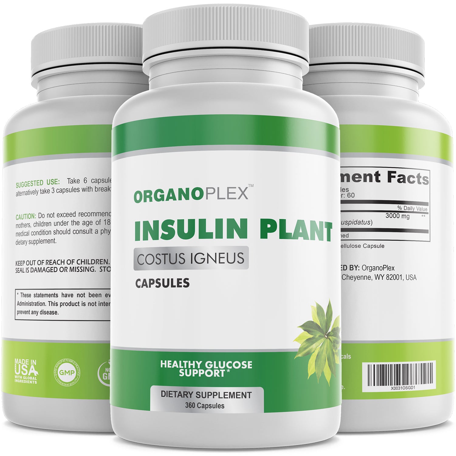 Insulin Plant Capsules (2 Month Supply per Bottle) – ORGANOPLEX